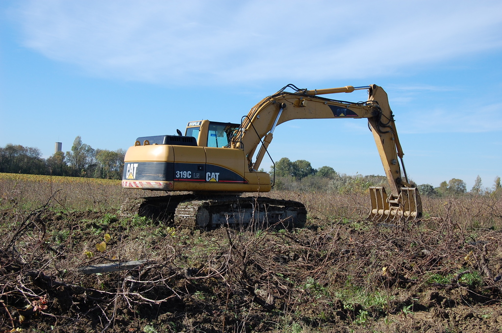AIDE A L’ARRACHAGE DEFINITIF DE VIGNES | FGVB