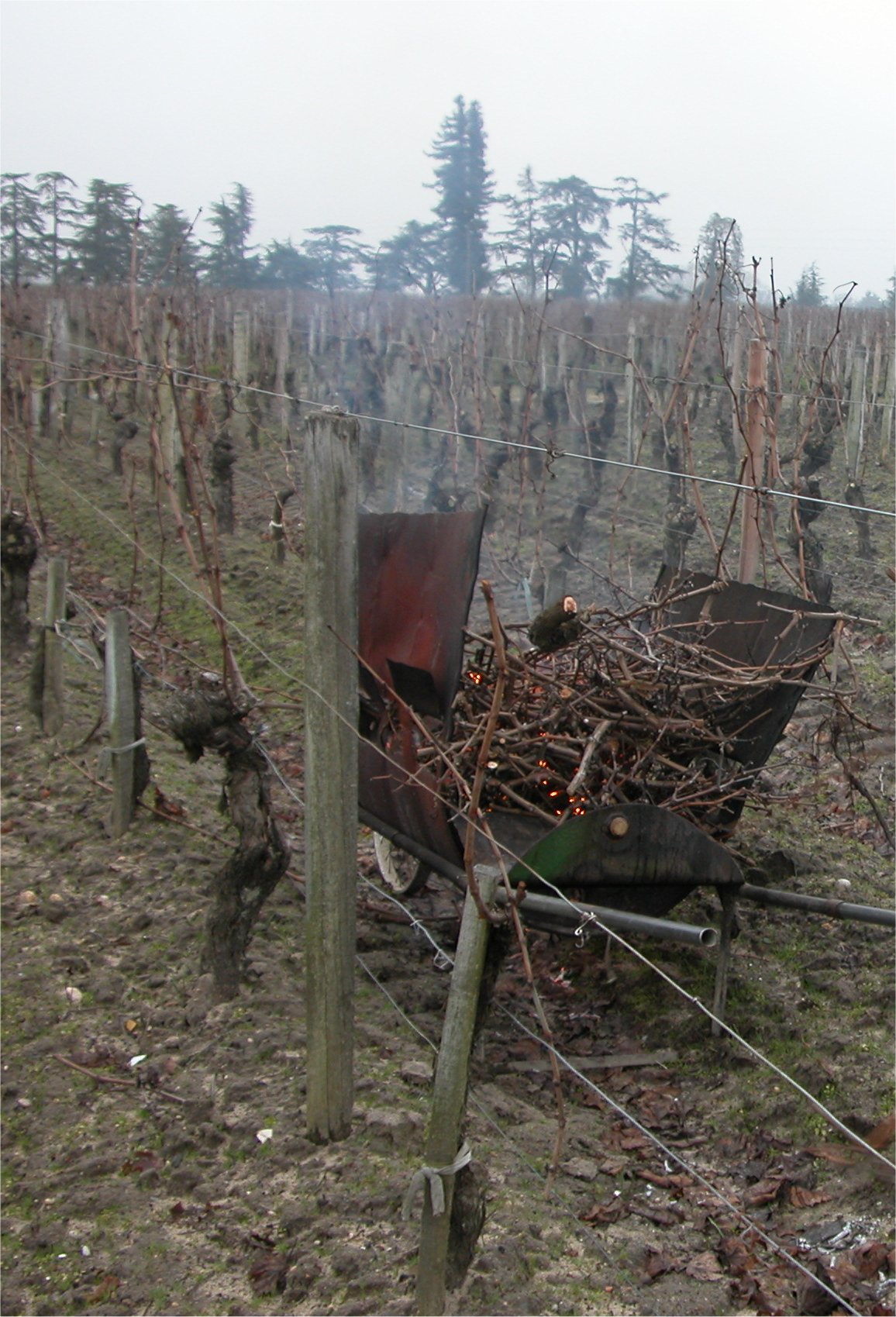 INCINERATION DECHETS VERTS | FGVB