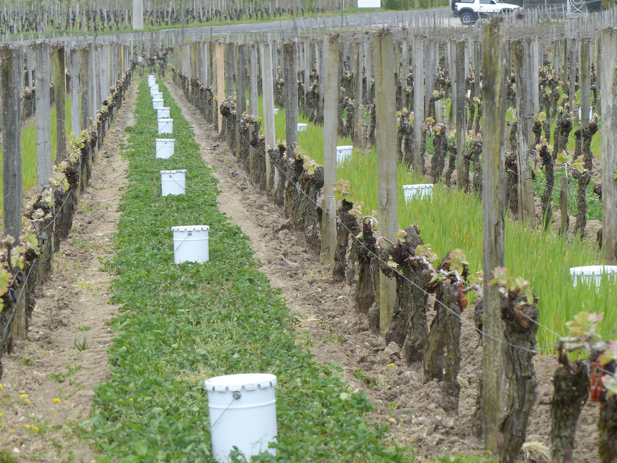 MODALITES DE LUTTE CONTRE LE GEL | FGVB